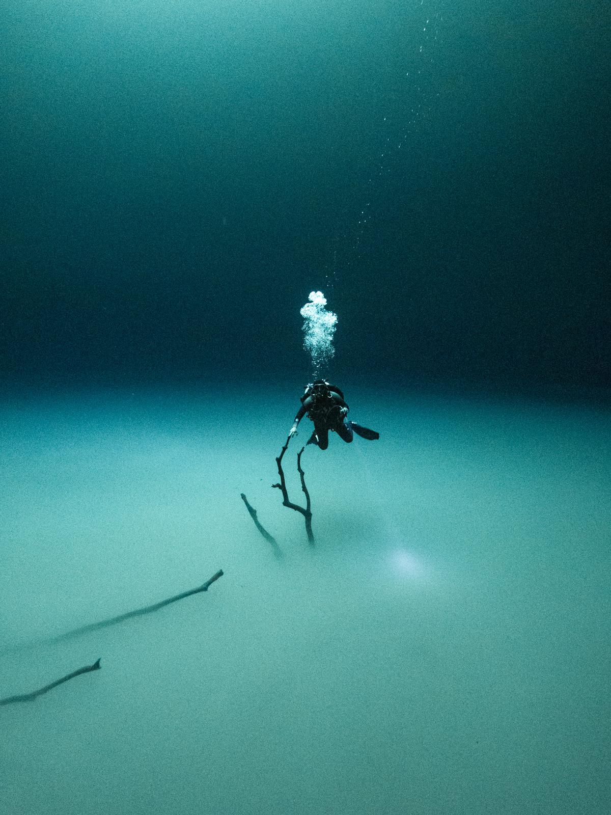 Cenote diving Tulum - Akumal Dive Center